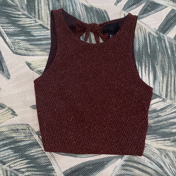 H&M | Tops | Brown With Bronze Sparkle Glitter Crop Top With Open Back ...
